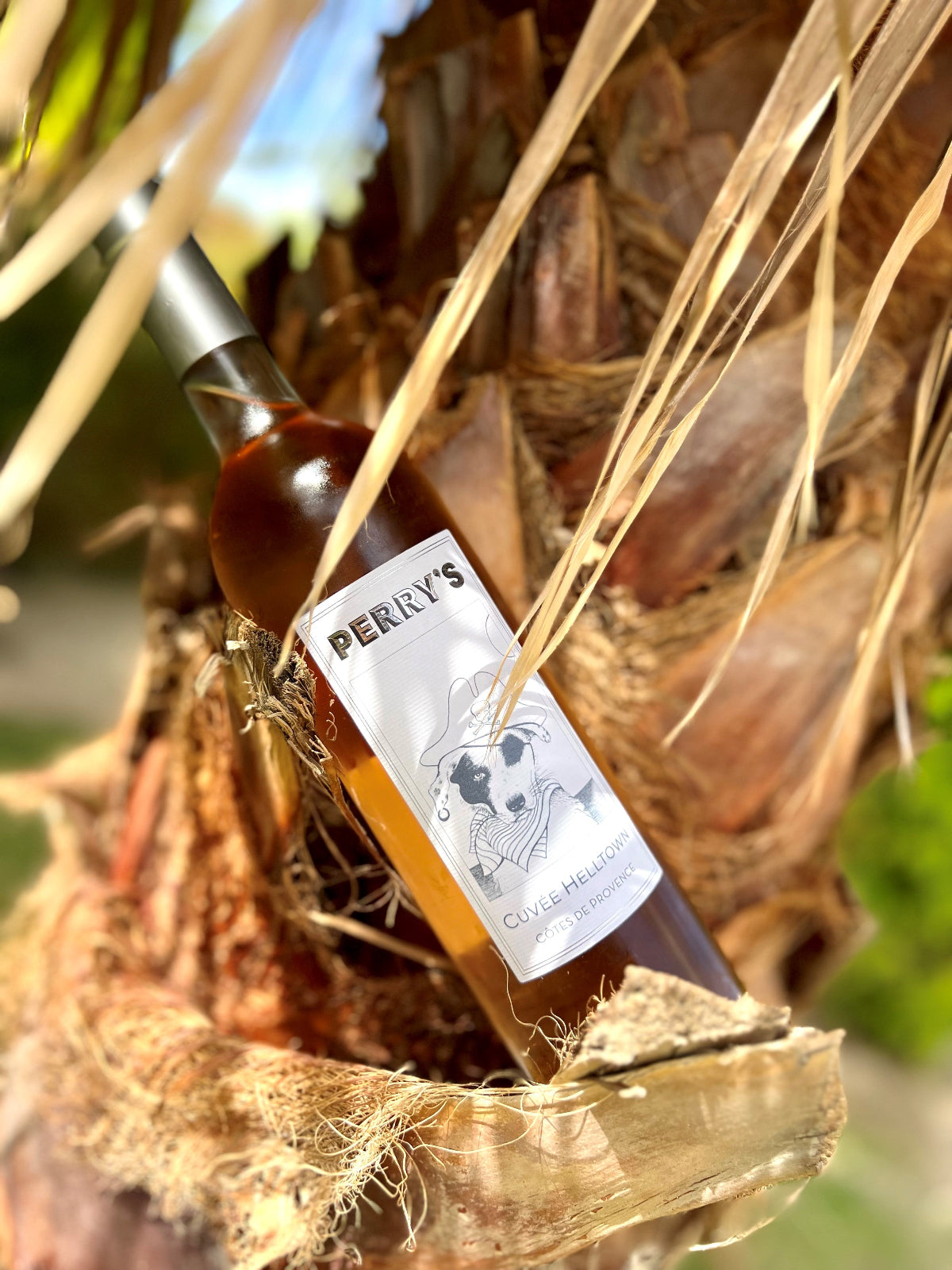 Perry's Fine Wine & Liquors Palm Springs | Liquor Store Palm Springs ...